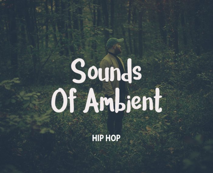 Hip Hop Music - Royalty Free - HookSounds