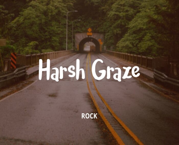 Music - Royalty Free - HookSounds