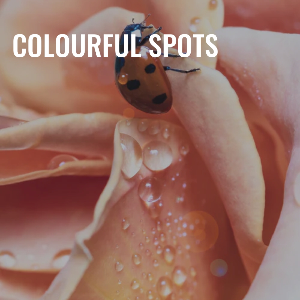 Happy Music | Royalty Free | HookSounds