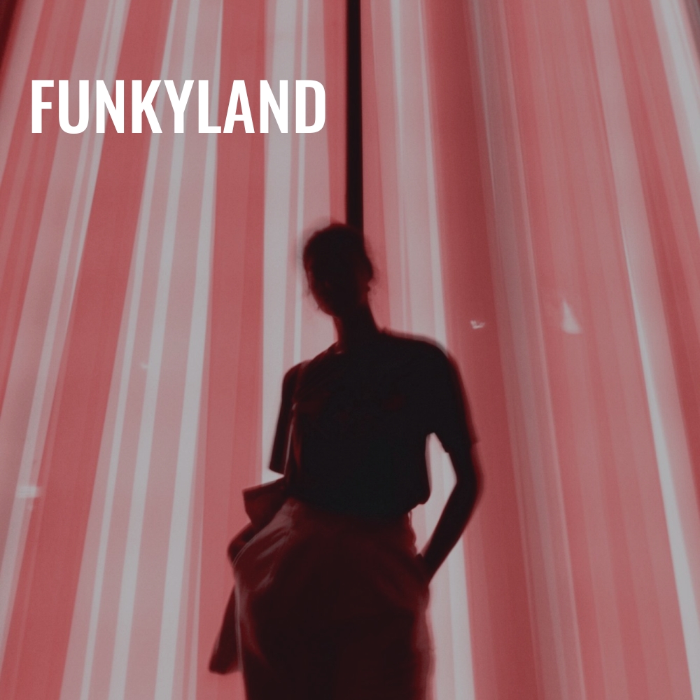 FunkyLand | Royalty Free Music | HookSounds