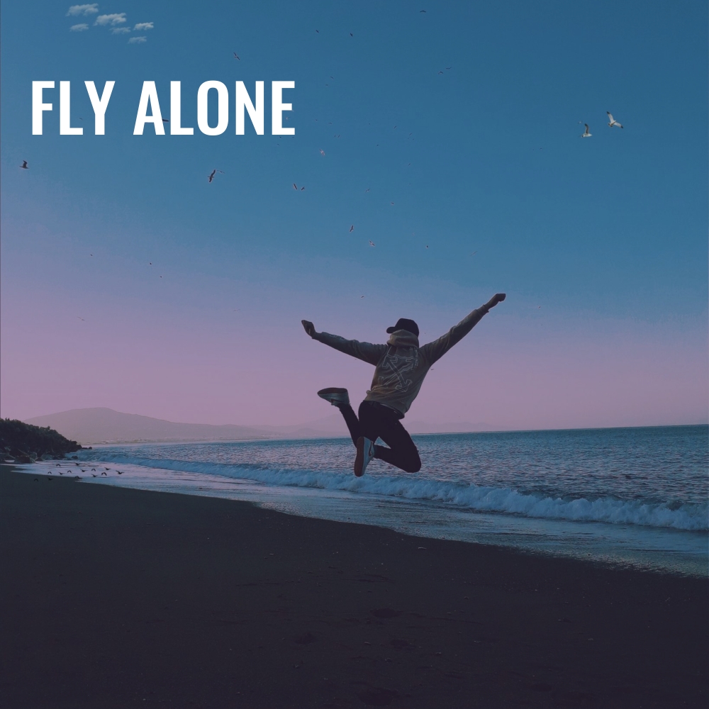 Fly Alone | Royalty Free Music | HookSounds