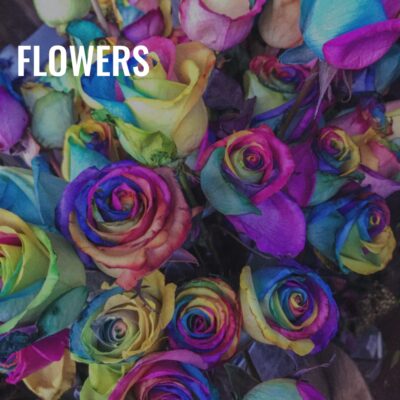 Inspiring Ambient | Royalty Free Music | HookSounds