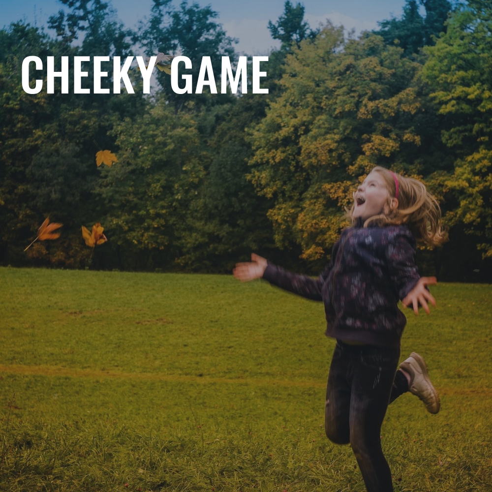 Cheeky Game | Royalty Free Music | HookSounds