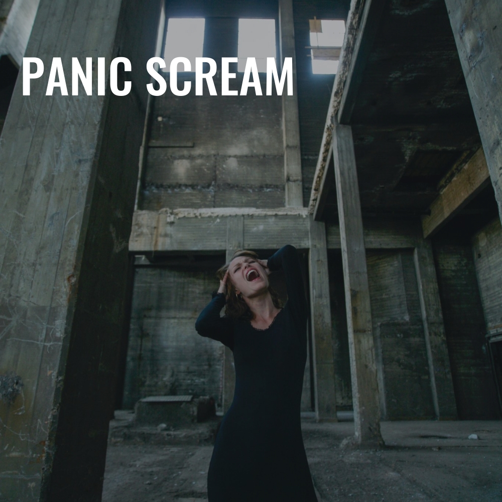Panic Scream | Royalty Free Music | HookSounds
