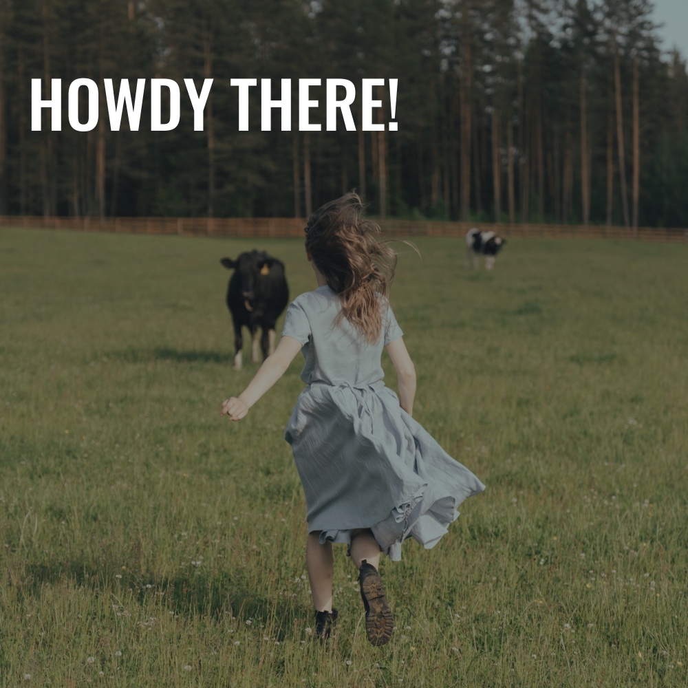 Howdy There! | Royalty Free Music | HookSounds