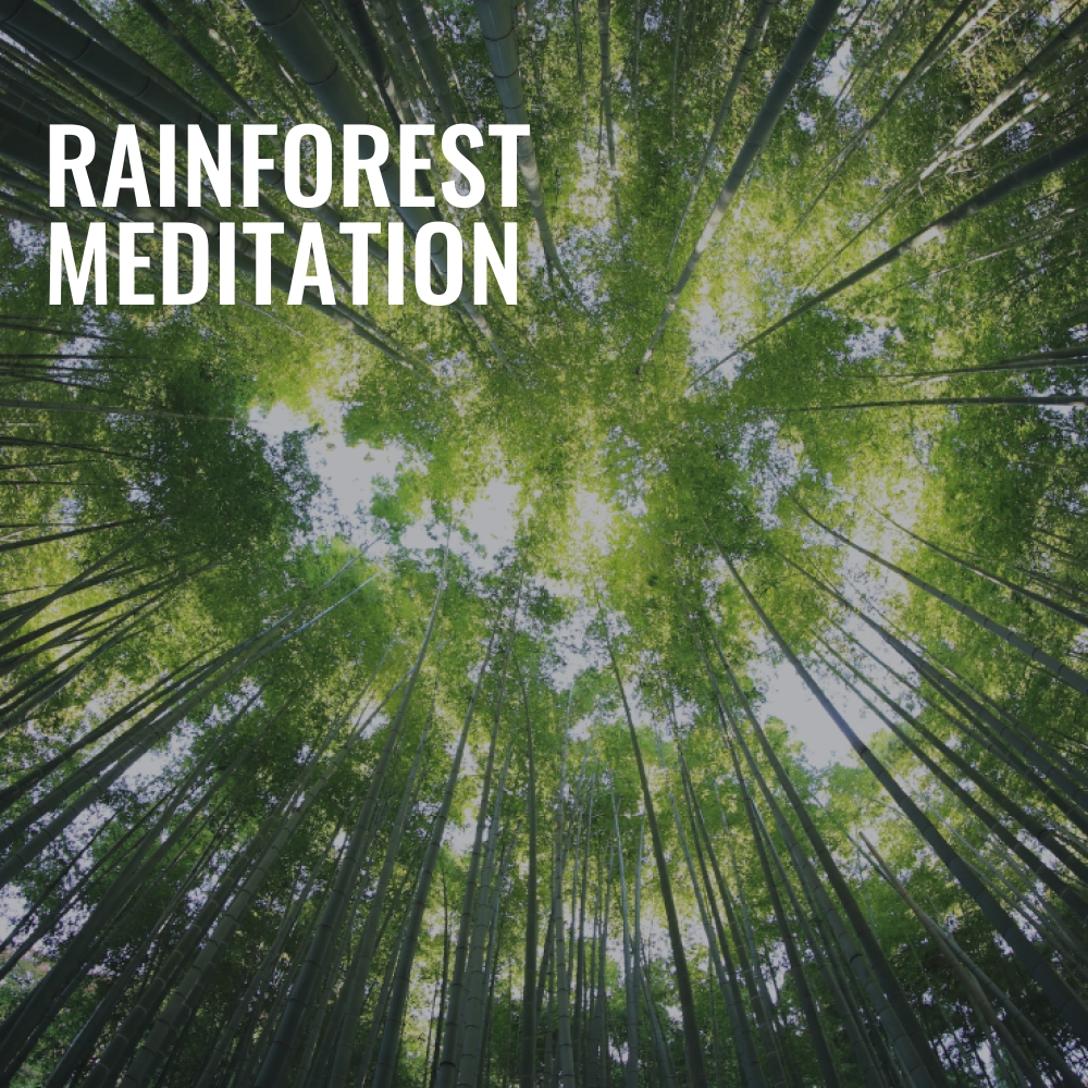 Rainforest Meditation | Royalty Free Music | HookSounds
