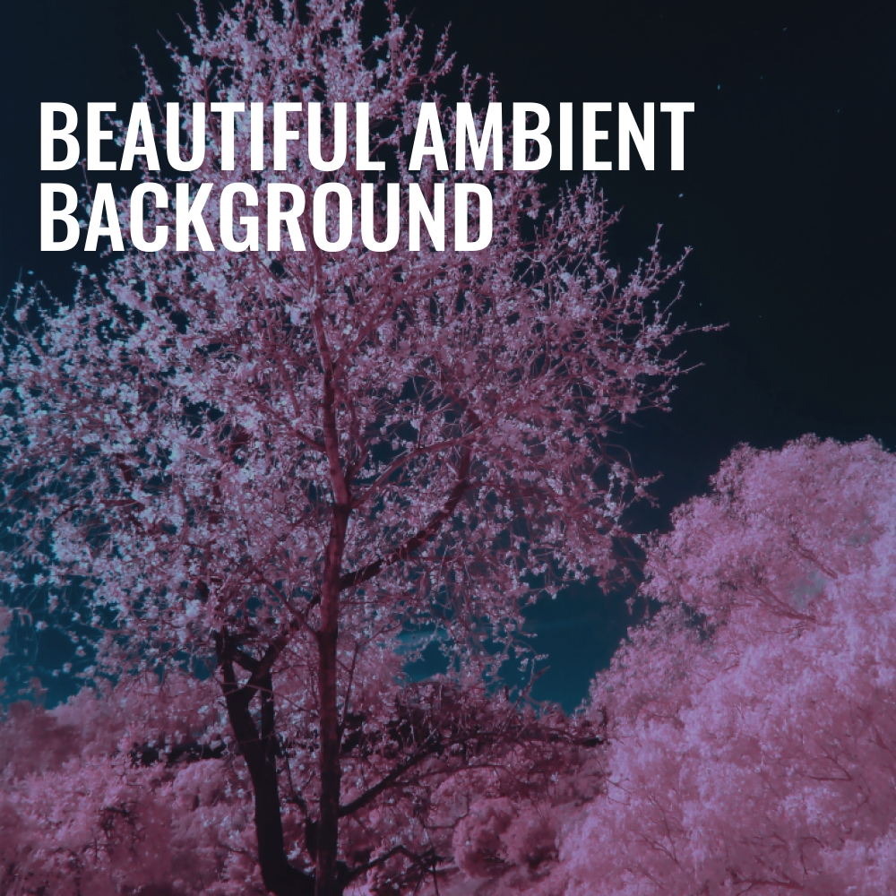 Beautiful Ambient Background | Royalty Free Music | HookSounds