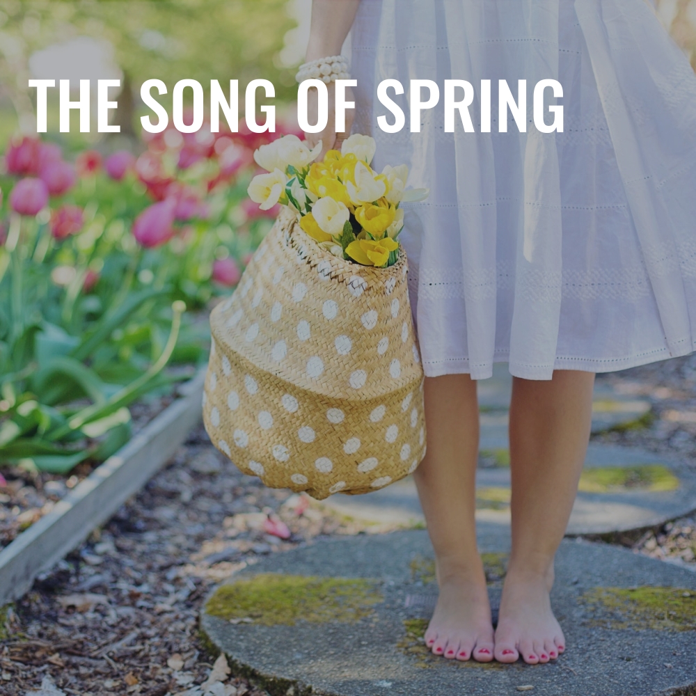 The Song Of Spring | Música Libre De Regalías | HookSounds