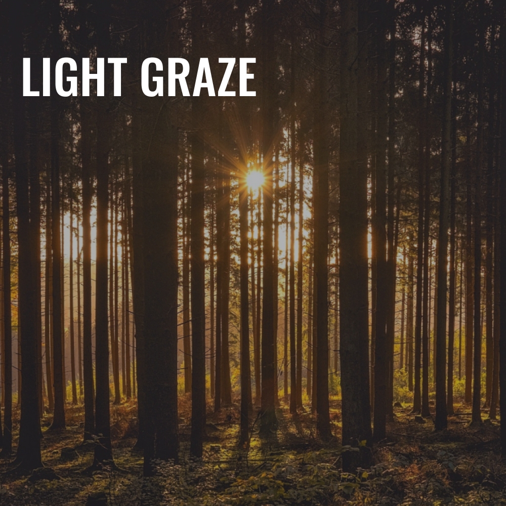 Light Graze | Royalty Free Music | HookSounds