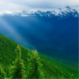 Royalty Free Music - Sign up for free! | HookSounds