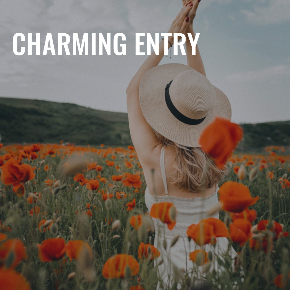 Charming Entry | Royalty Free Music | HookSounds