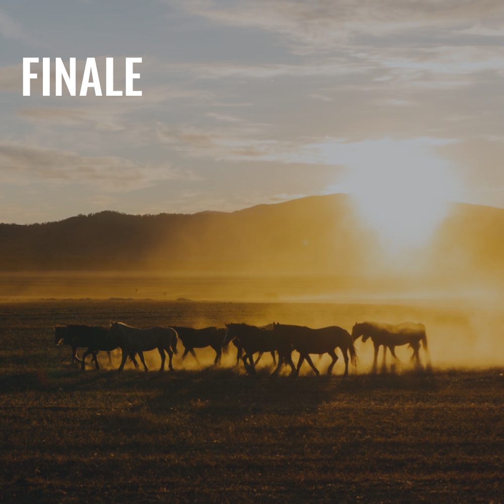 Finale | Royalty Free Music | HookSounds