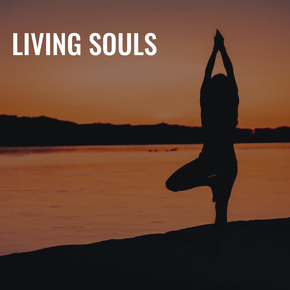Living Souls | Royalty Free Music | HookSounds
