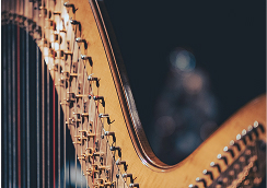 Discover, Explore, Search - Royalty Free Music | HookSounds