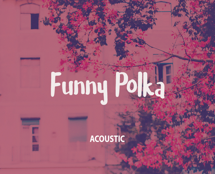 Funny Polka - Royalty Free Music - HookSounds