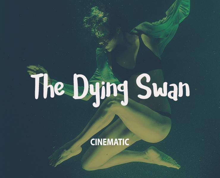 The Dying Swan | Royalty Free Music | HookSounds